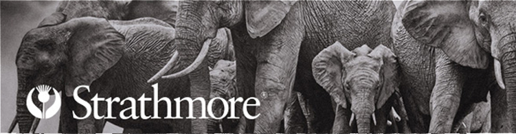 Strathmore header copy - University Art